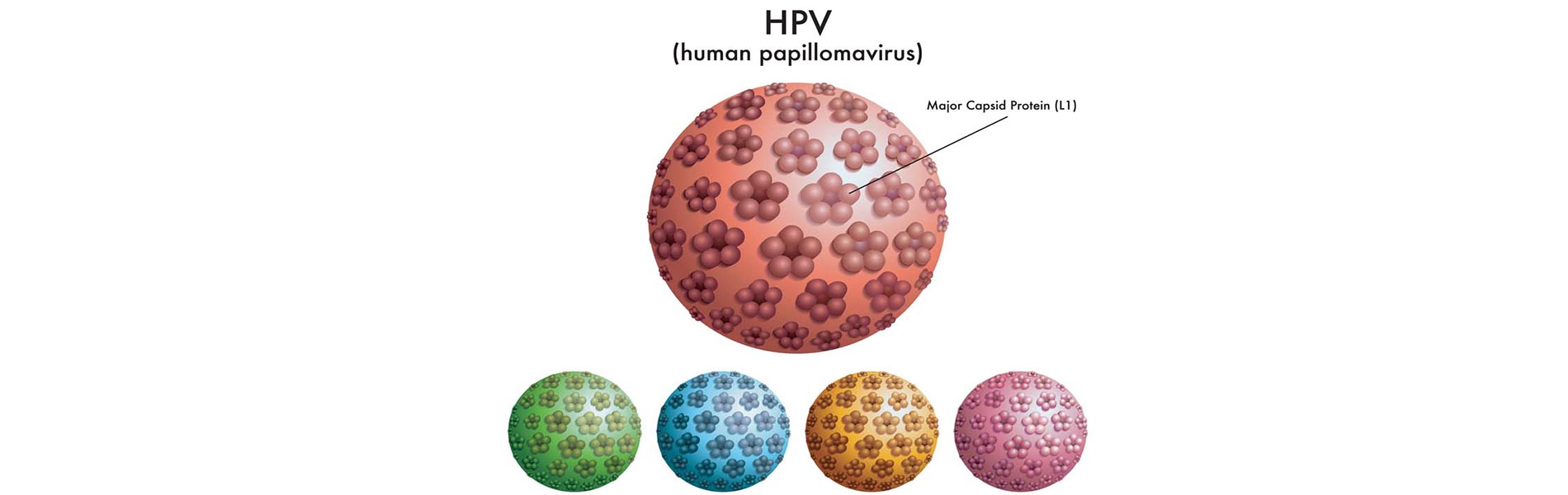 Κονδυλώματα πρωκτού | Συμπτώματα, διάγνωση & θεραπεία